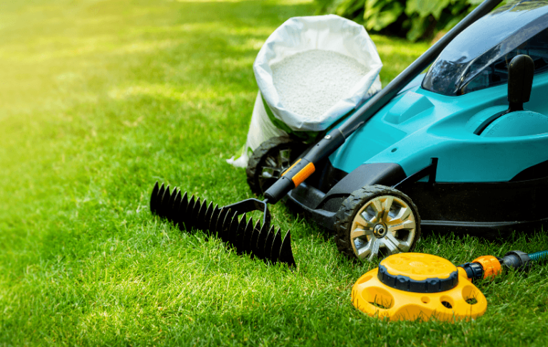 The Impact of Proper Lawn Fertilization on Grass Growth and Health ...