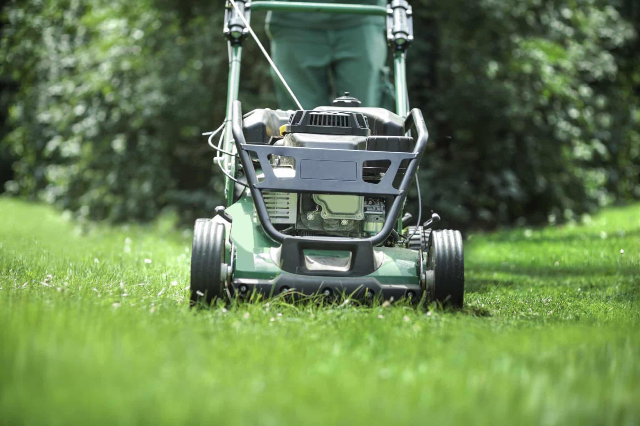 Custom Lawn Fertilization in Richland Hills, TX | Mow & Grow